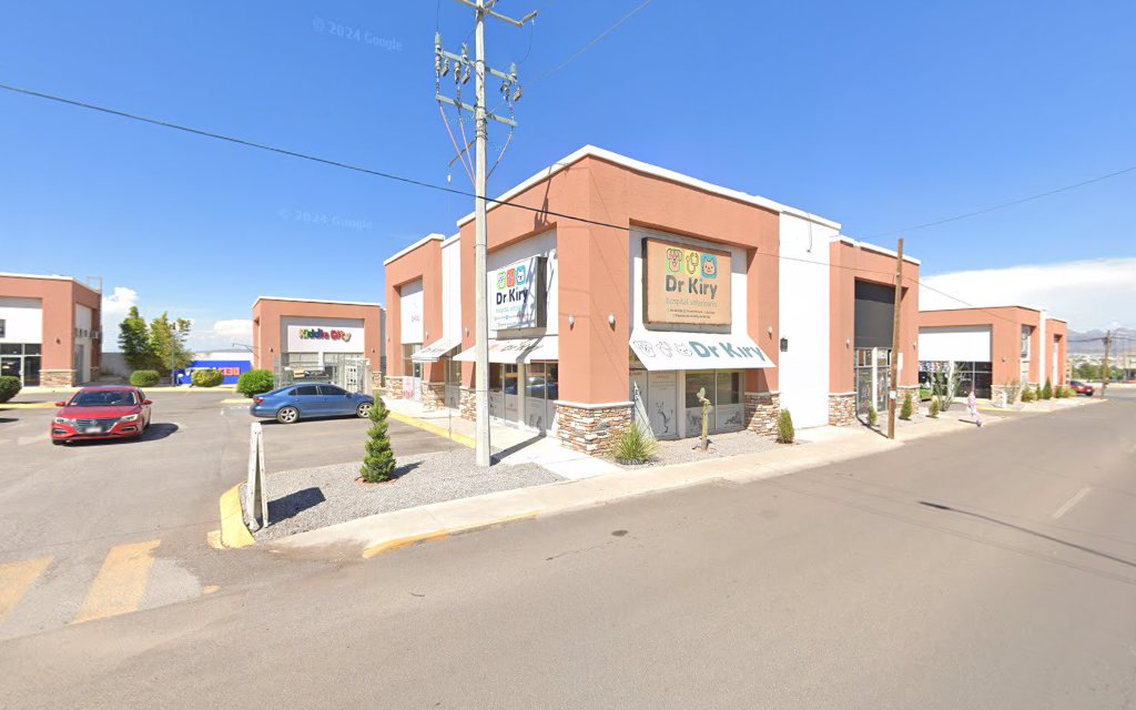 Dr. Kiry Hospital Veterinario - Busco Veterinaria